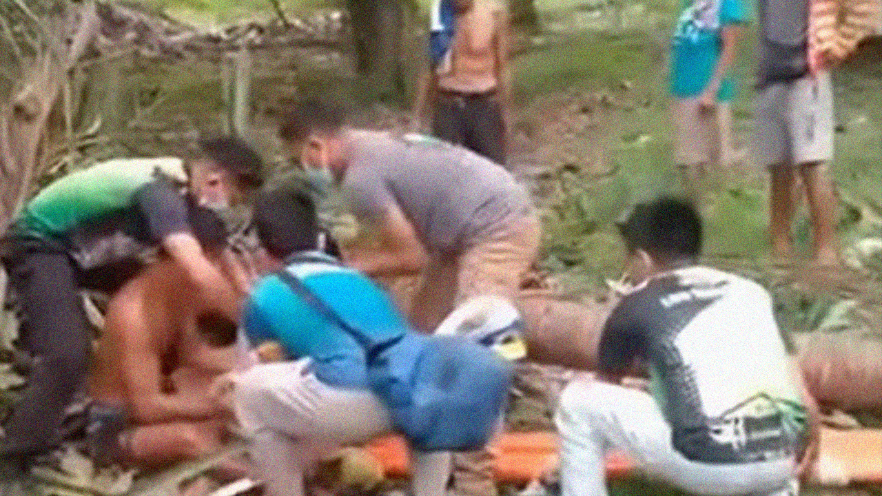 Pregnant woman crushed by falling coconut tree in Davao Occidental ...