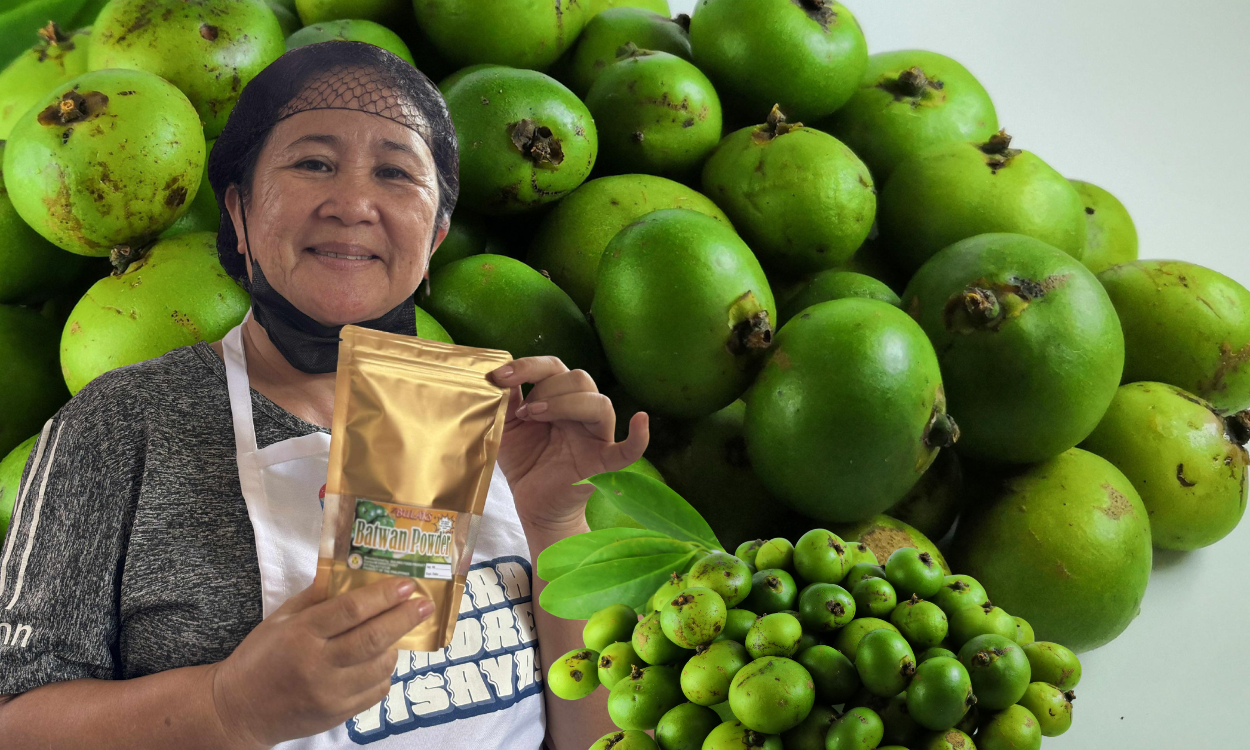 Batwan powder production brings new livelihood opportunity in southern ...